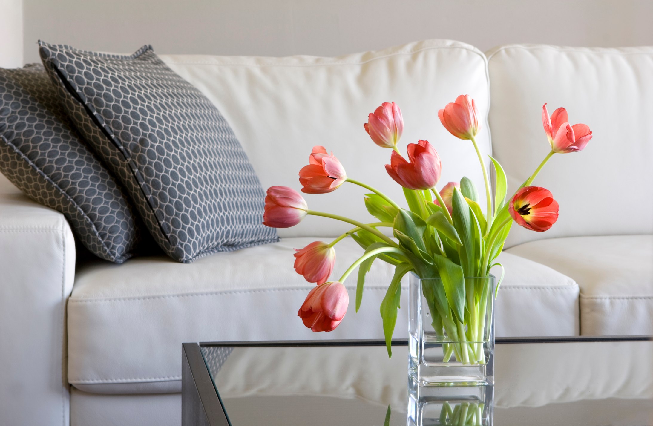 Floor Plans - Quail Rise